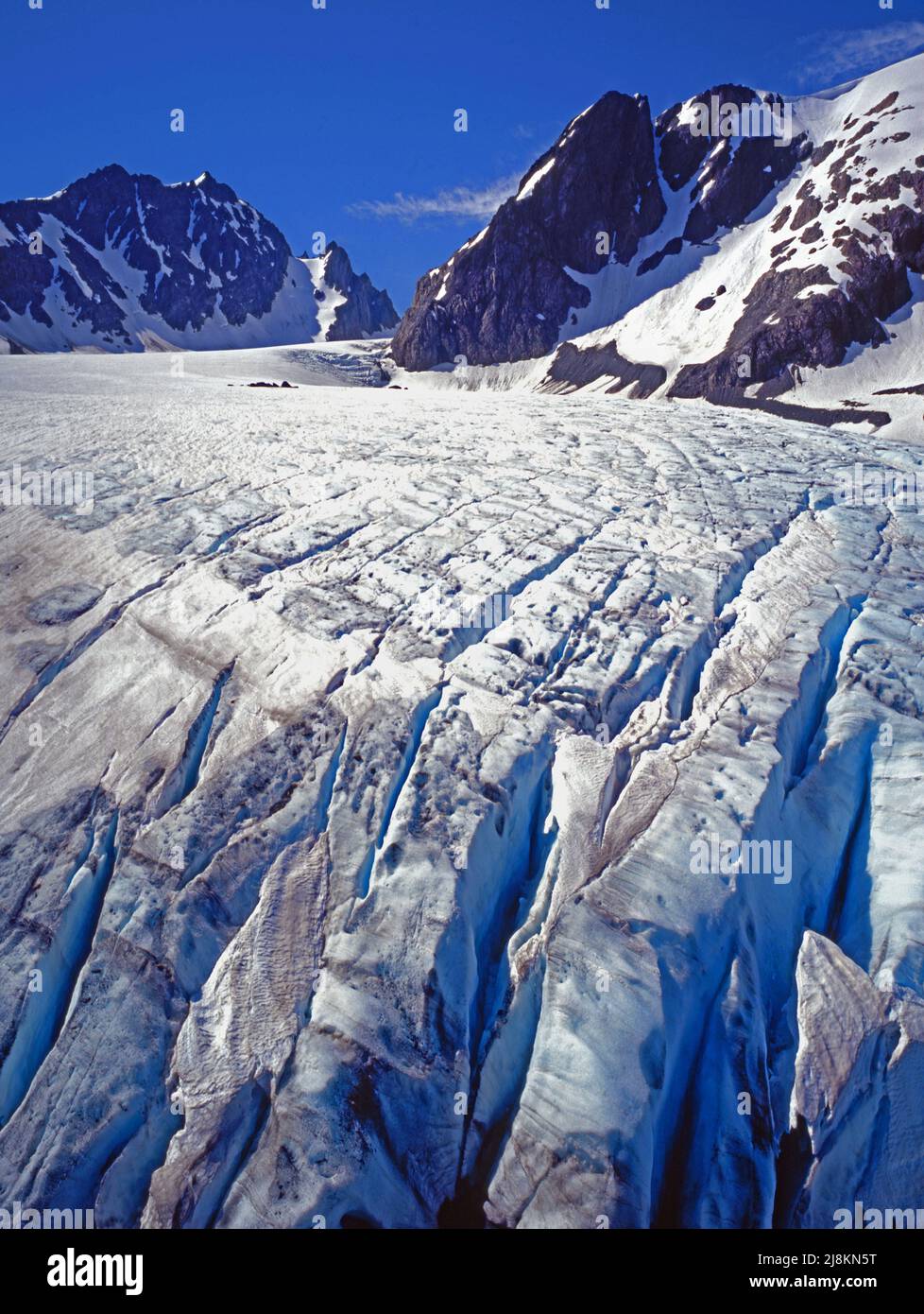 Terminus of the Blue Glacier, Mt. Olympus, Olympic National Park ...