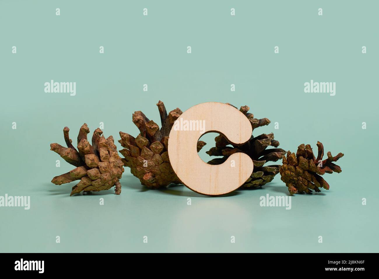 Letter C. A wooden letter of the English alphabet and four pine cones ...