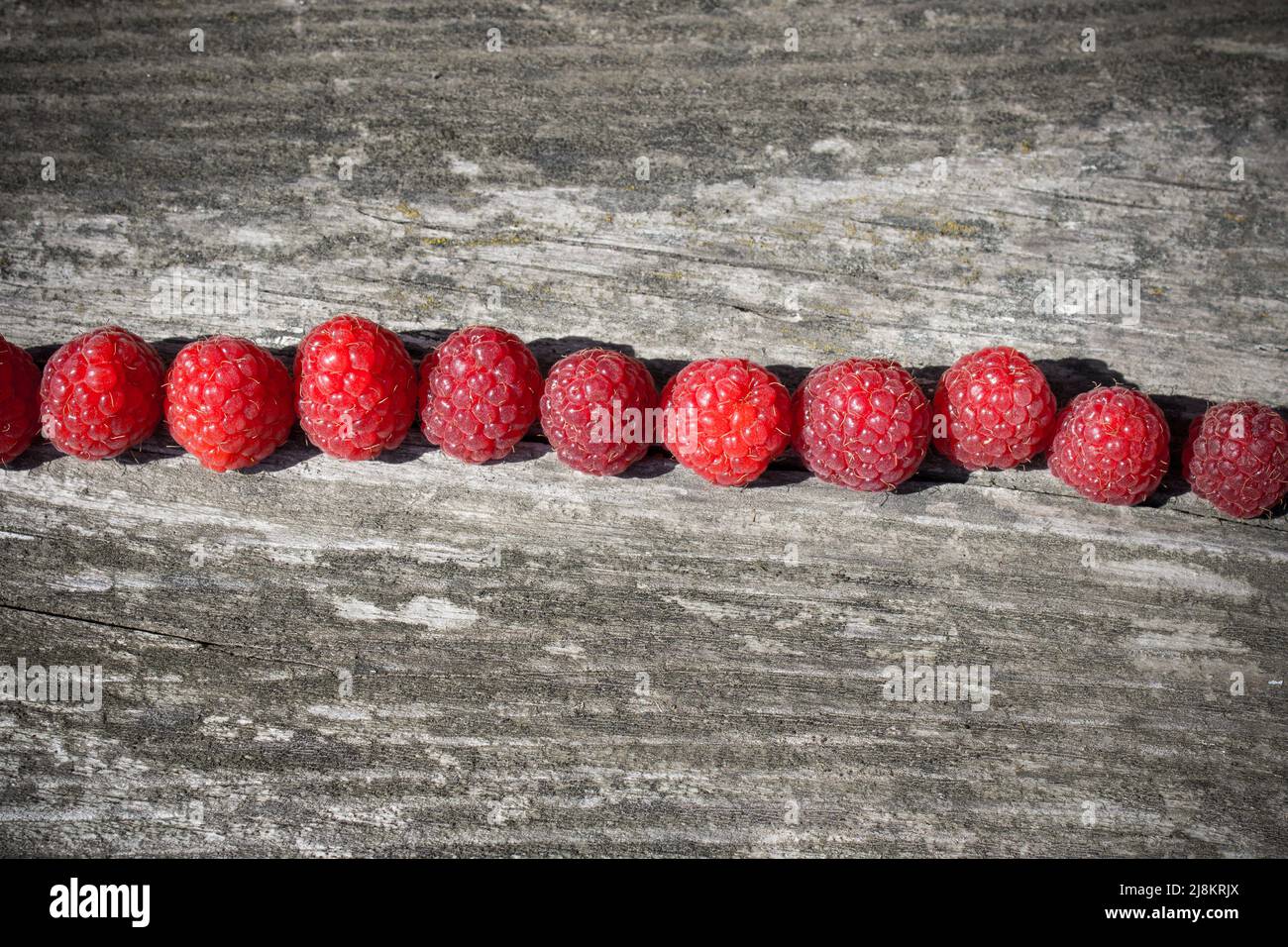 raspberries in a row Stock Photo - Alamy