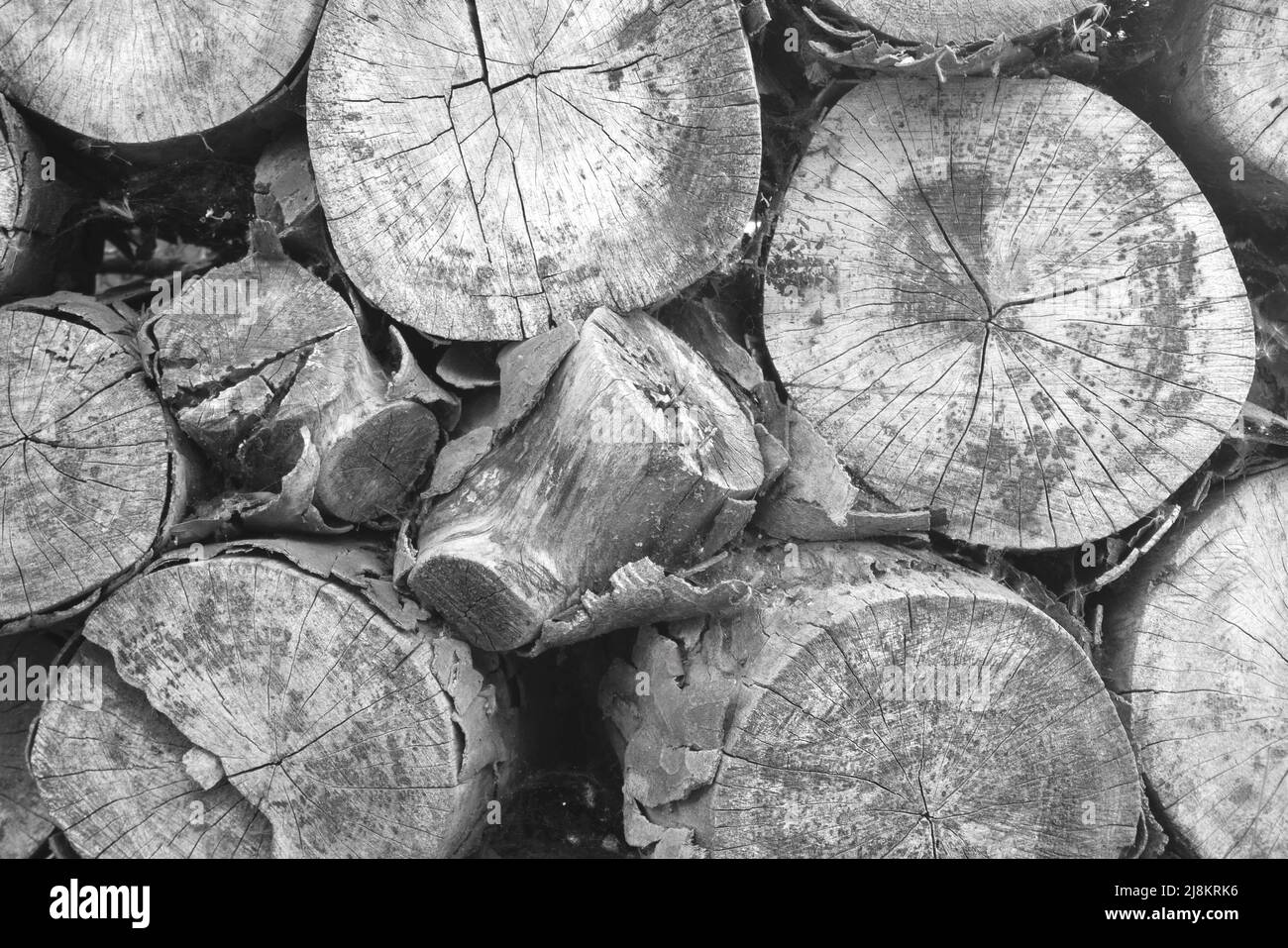 Monochrome stacked pile of firewood logs Stock Photo - Alamy