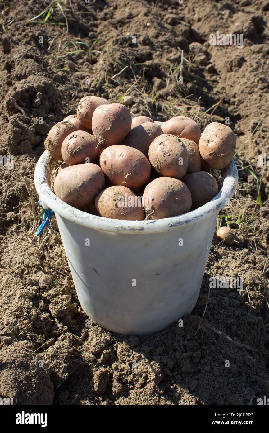 Full bucket hi-res stock photography and images - Alamy