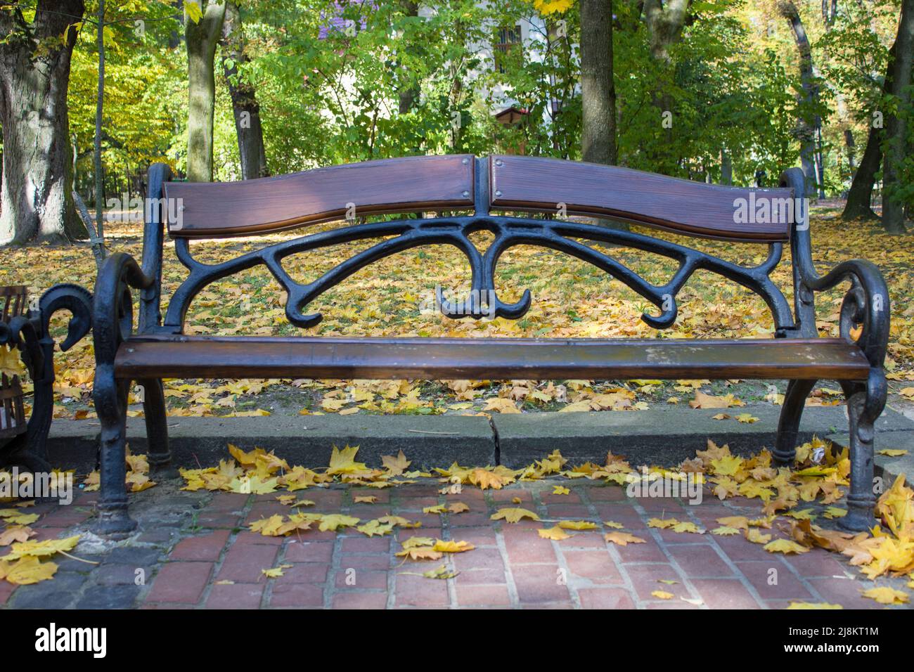 bench in the park Stock Photo - Alamy