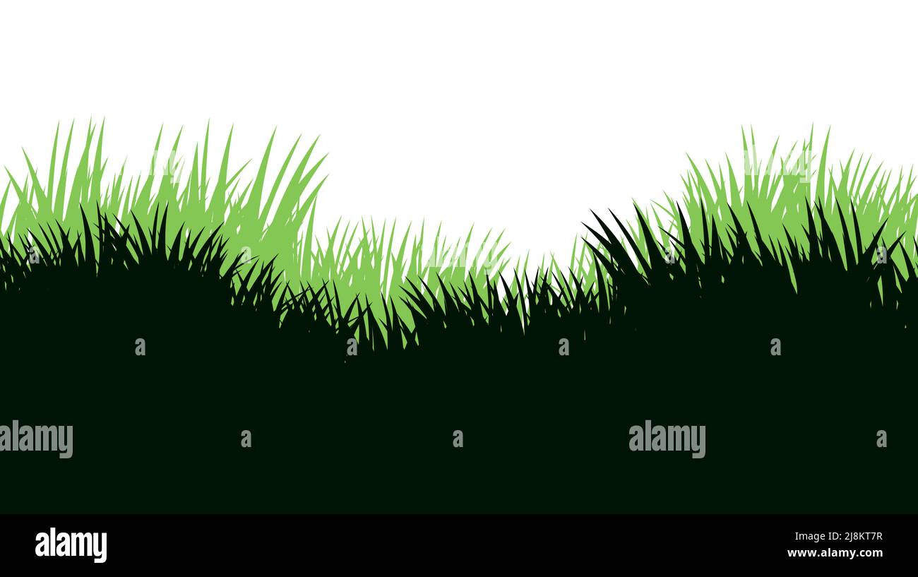 Grass. Nature rural landscape. Pasture overgrown. Overgrown dense lawn ...