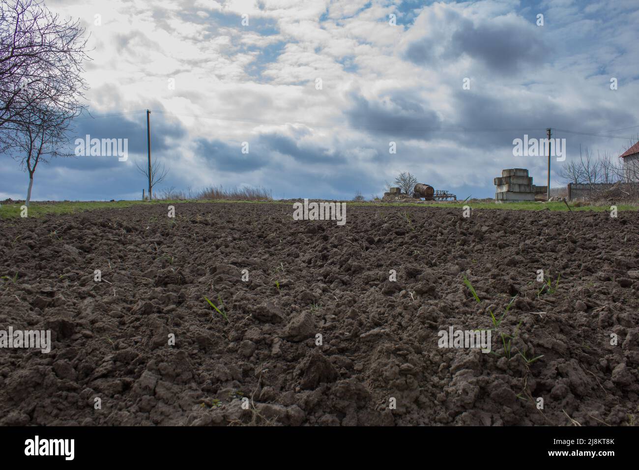 Light planting environment hi-res stock photography and images - Alamy