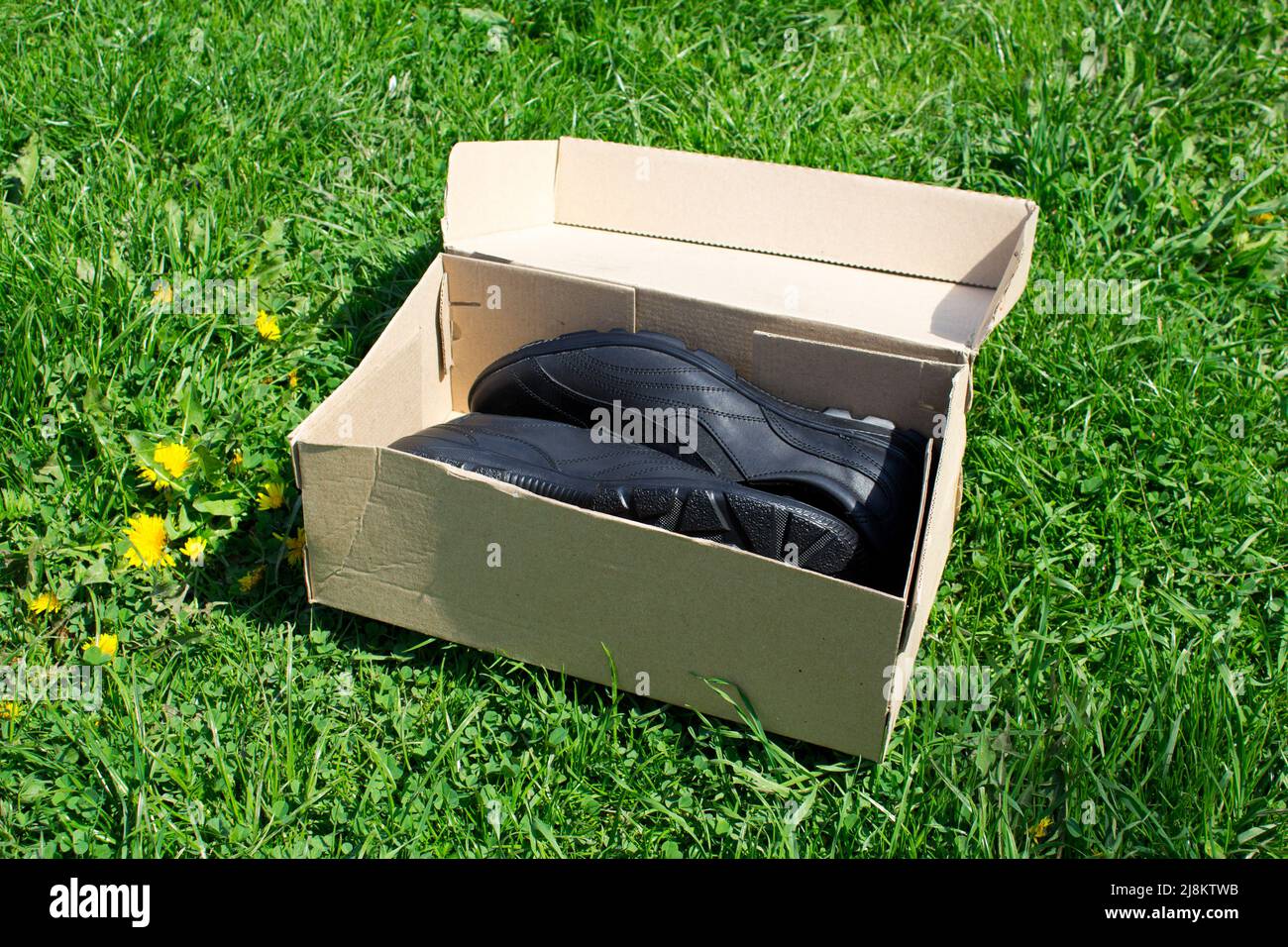 Shoes in the box Stock Photo - Alamy