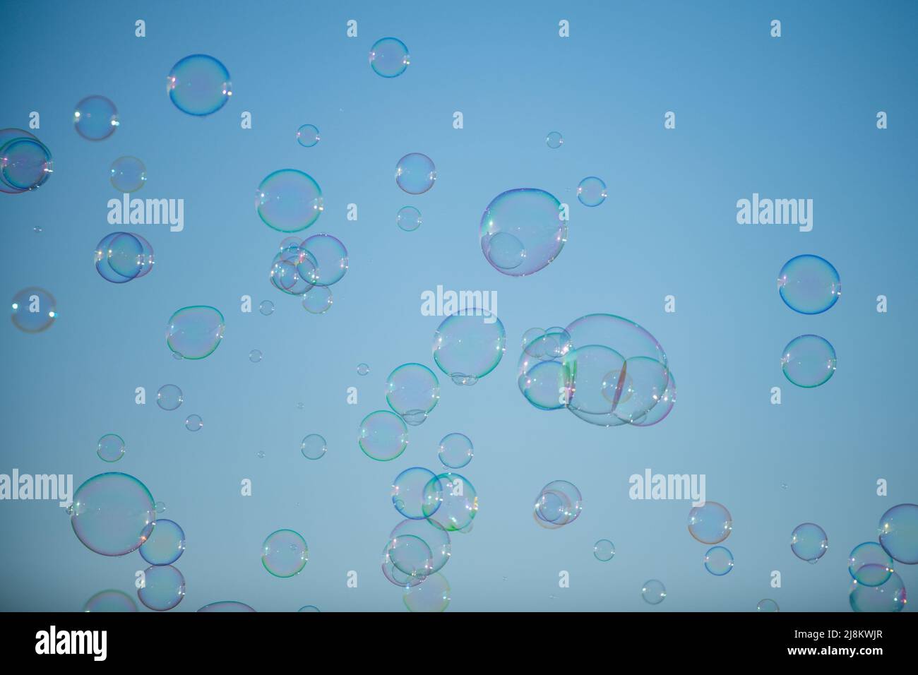 Flying soap bubbles on sky blue background Stock Photo - Alamy