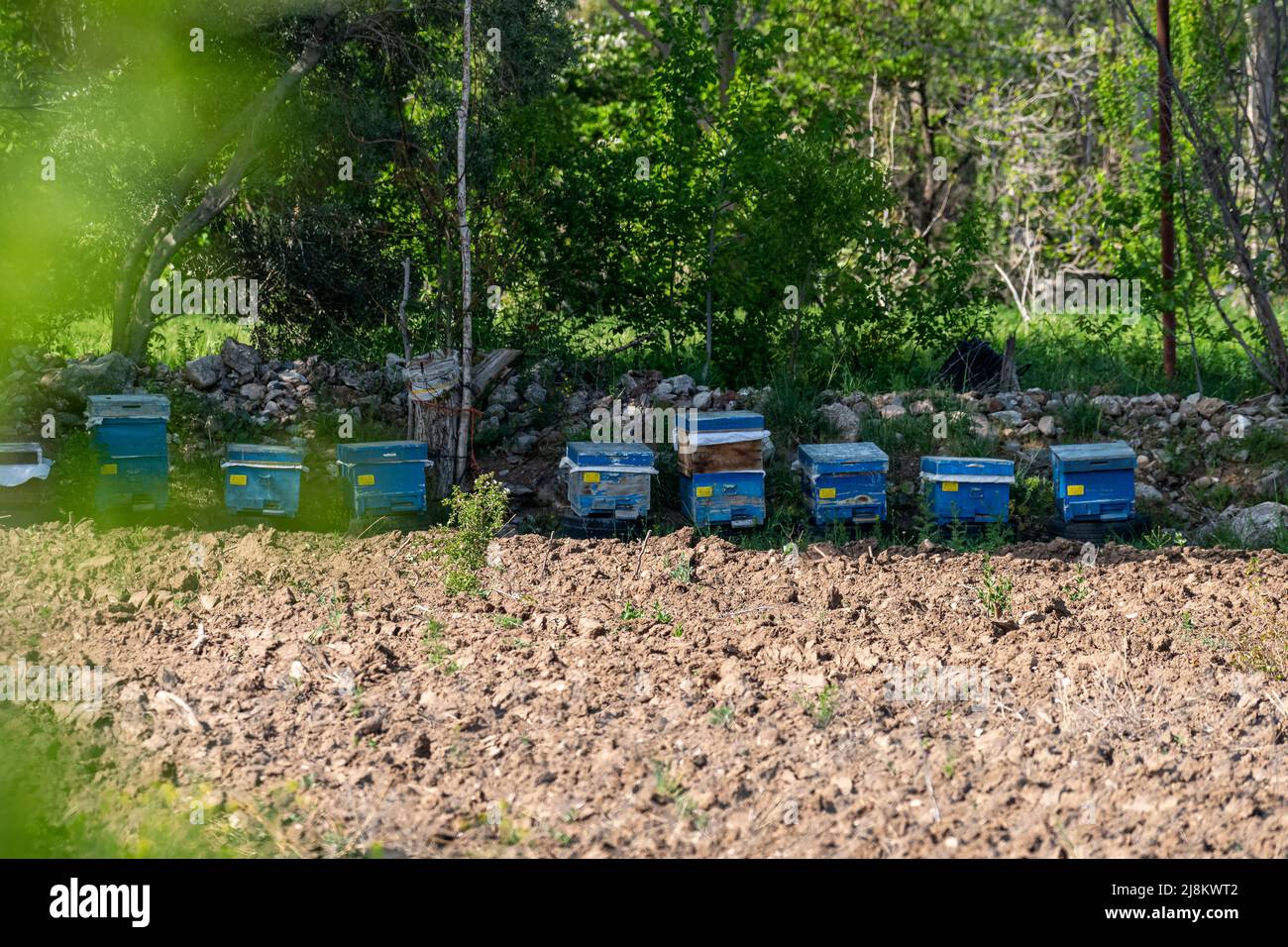 Blue beehives hi-res stock photography and images - Alamy