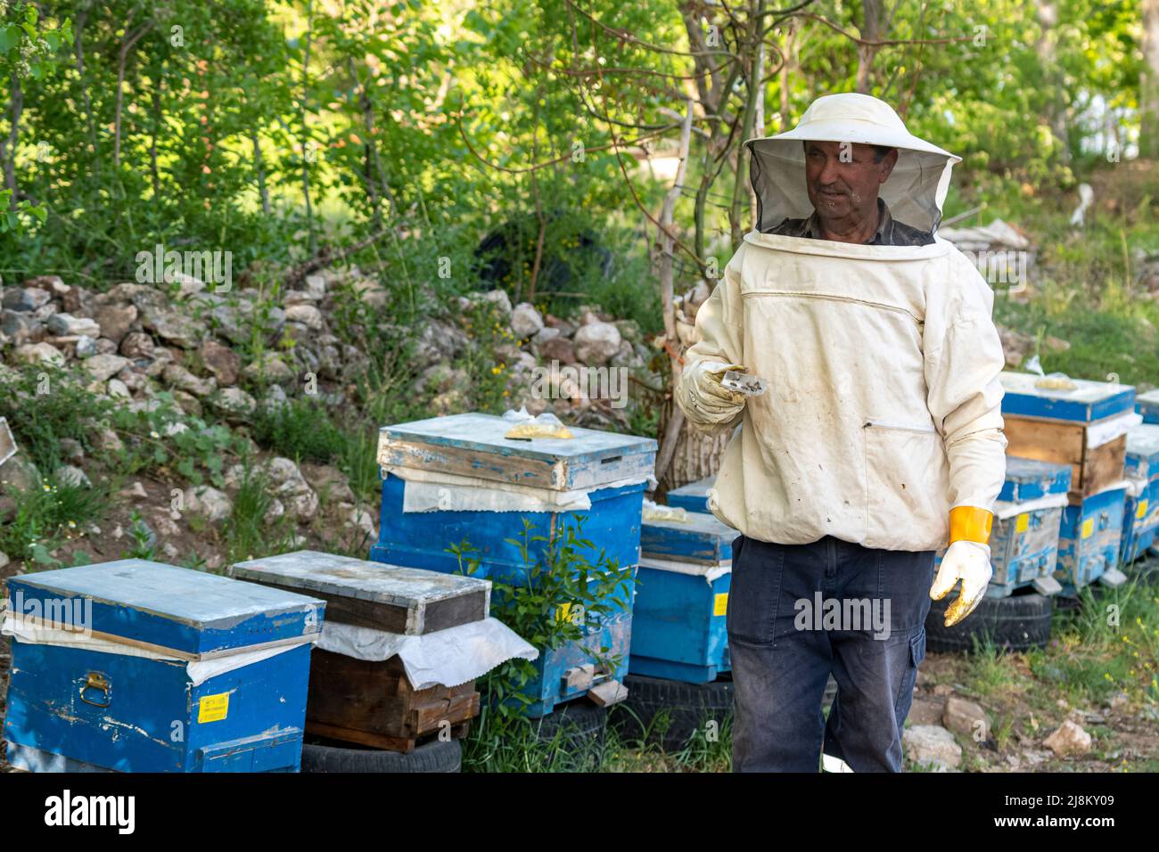 Wide angle shot of beekeeper man in white protective suit holding box ...