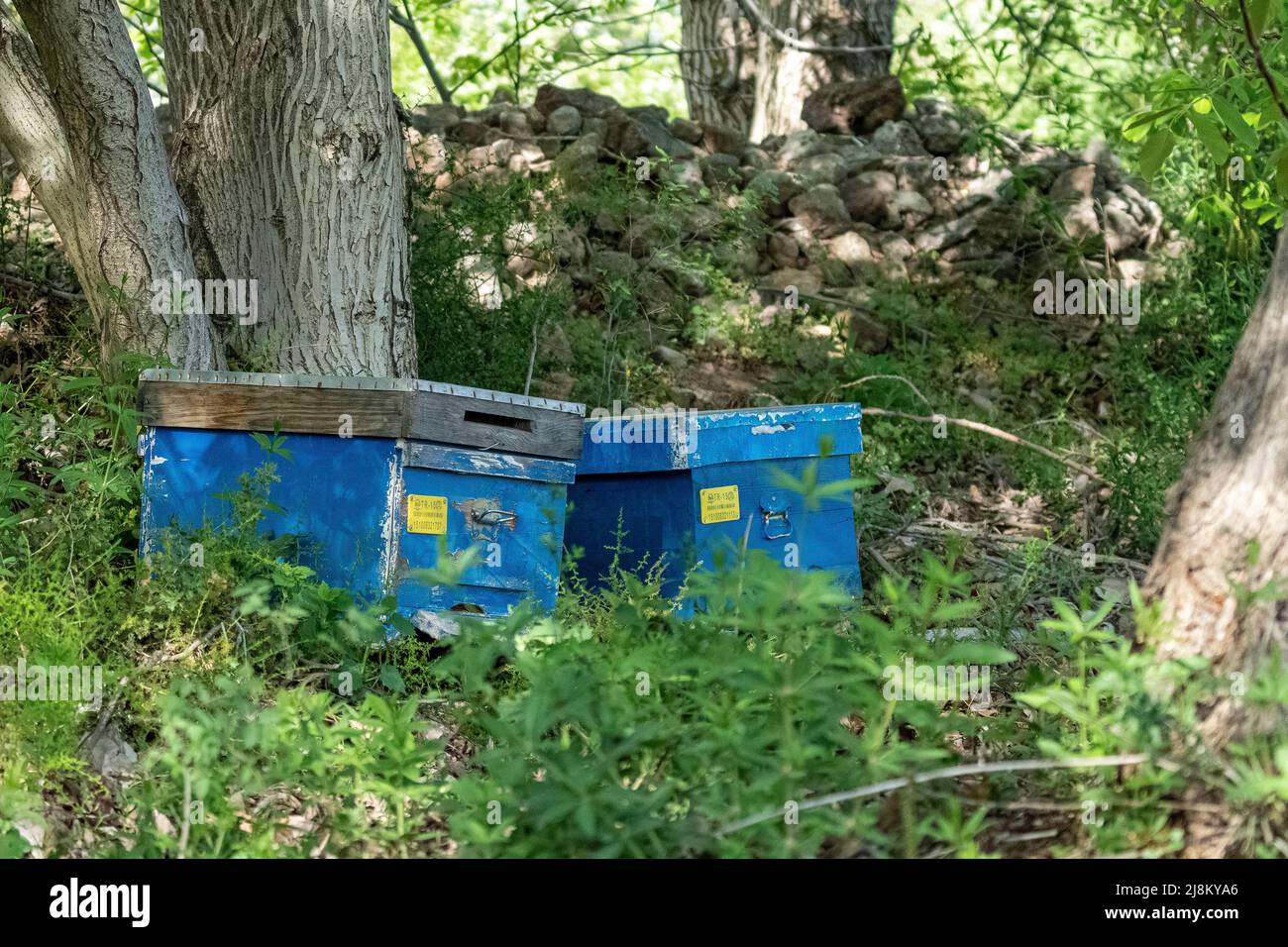 Photo of vintage bee box Stock Photo - Alamy