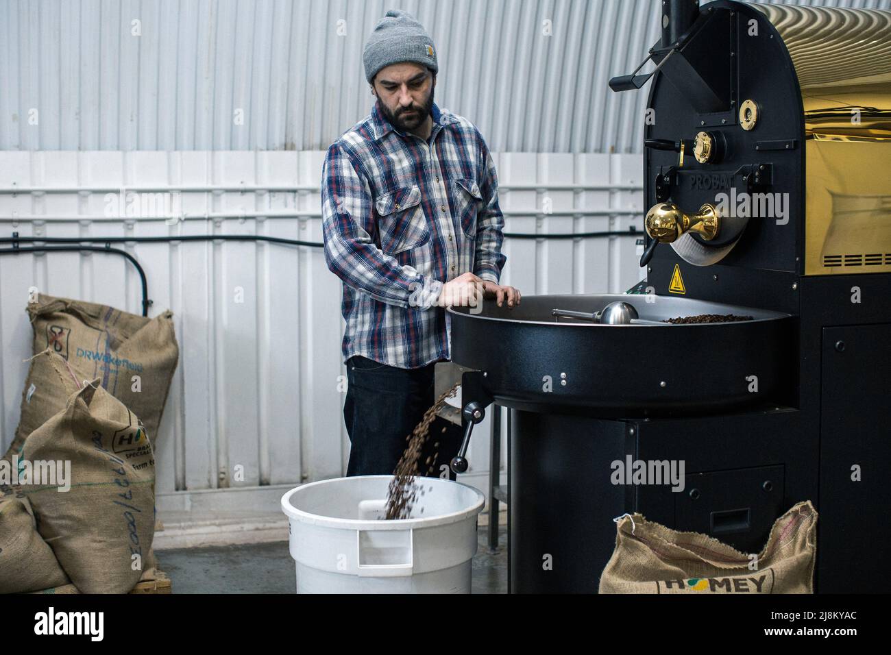A coffee roaster checks coffee beans during roasting Stock Photo - Alamy