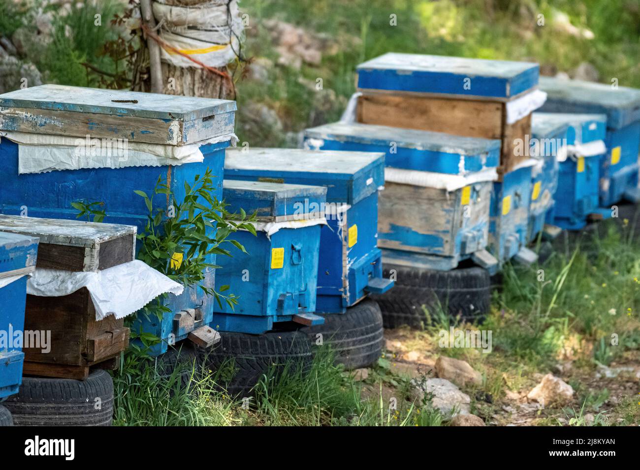 Blue beehives hi-res stock photography and images - Alamy