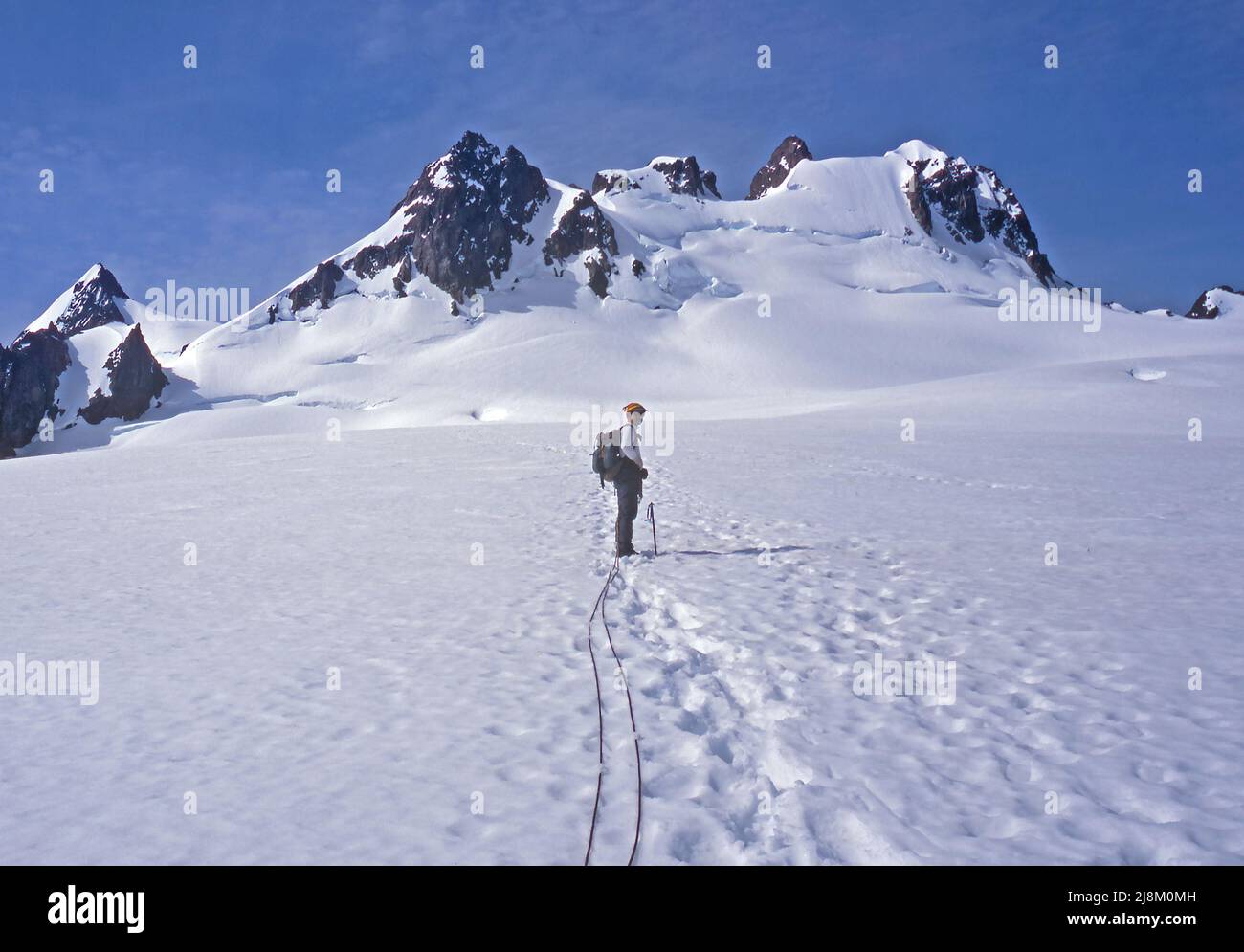 Snow Dome of Blue Glacier and the West Peak, Mt. Olympus, Olympic ...