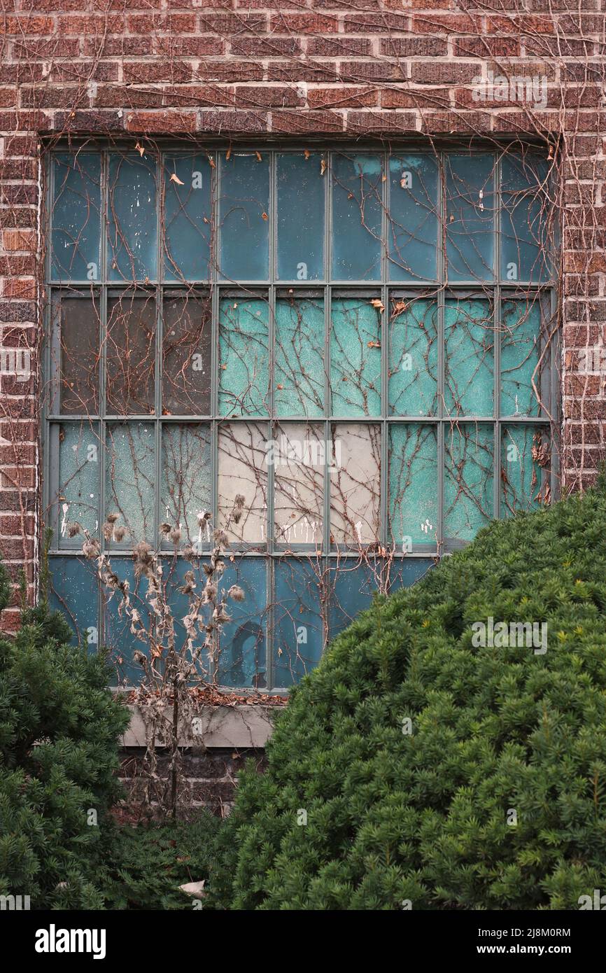 Vintage windows on the wall of an old abandoned factory Stock Photo - Alamy