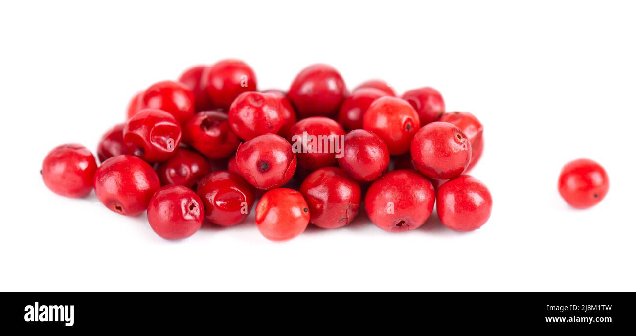 Pink peppercorns isolated on white background. Dry red pepper grain ...