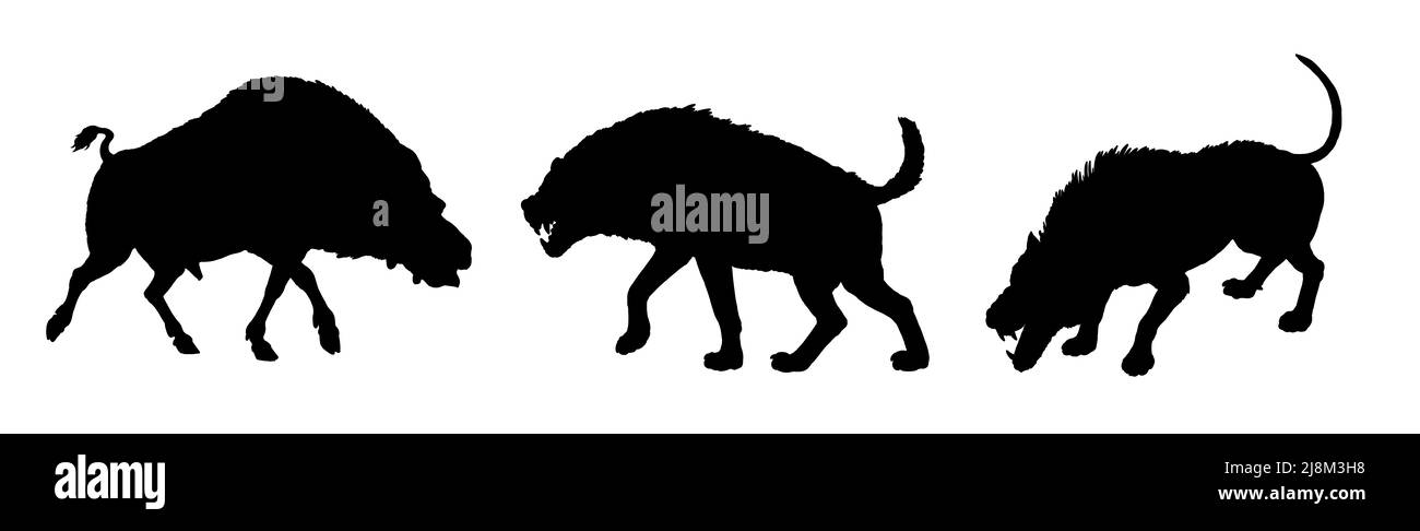 Dinocrocuta Black and White Stock Photos & Images - Alamy