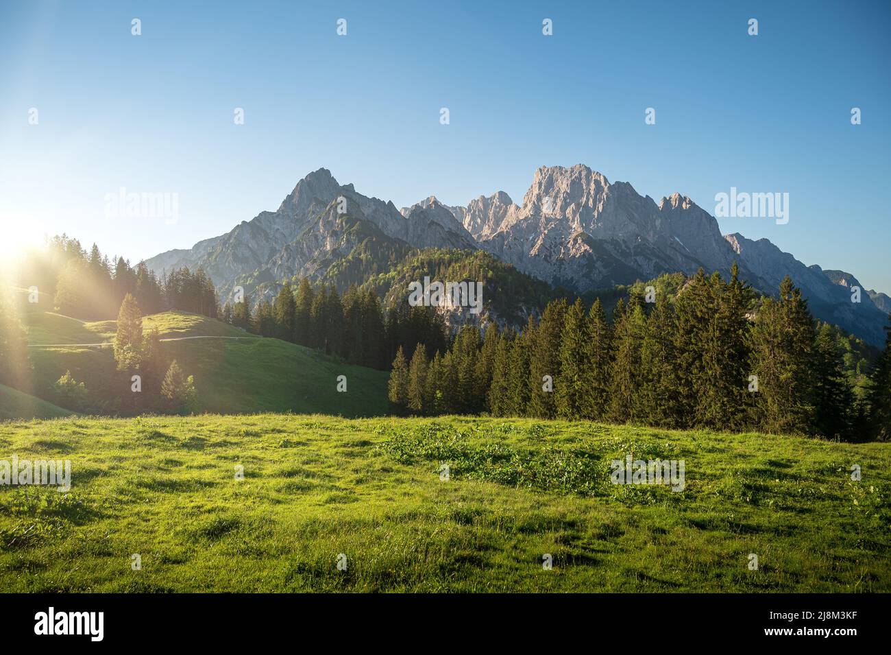 Alpine meadow in front of an idyllic mountain backdrop Stock Photo - Alamy