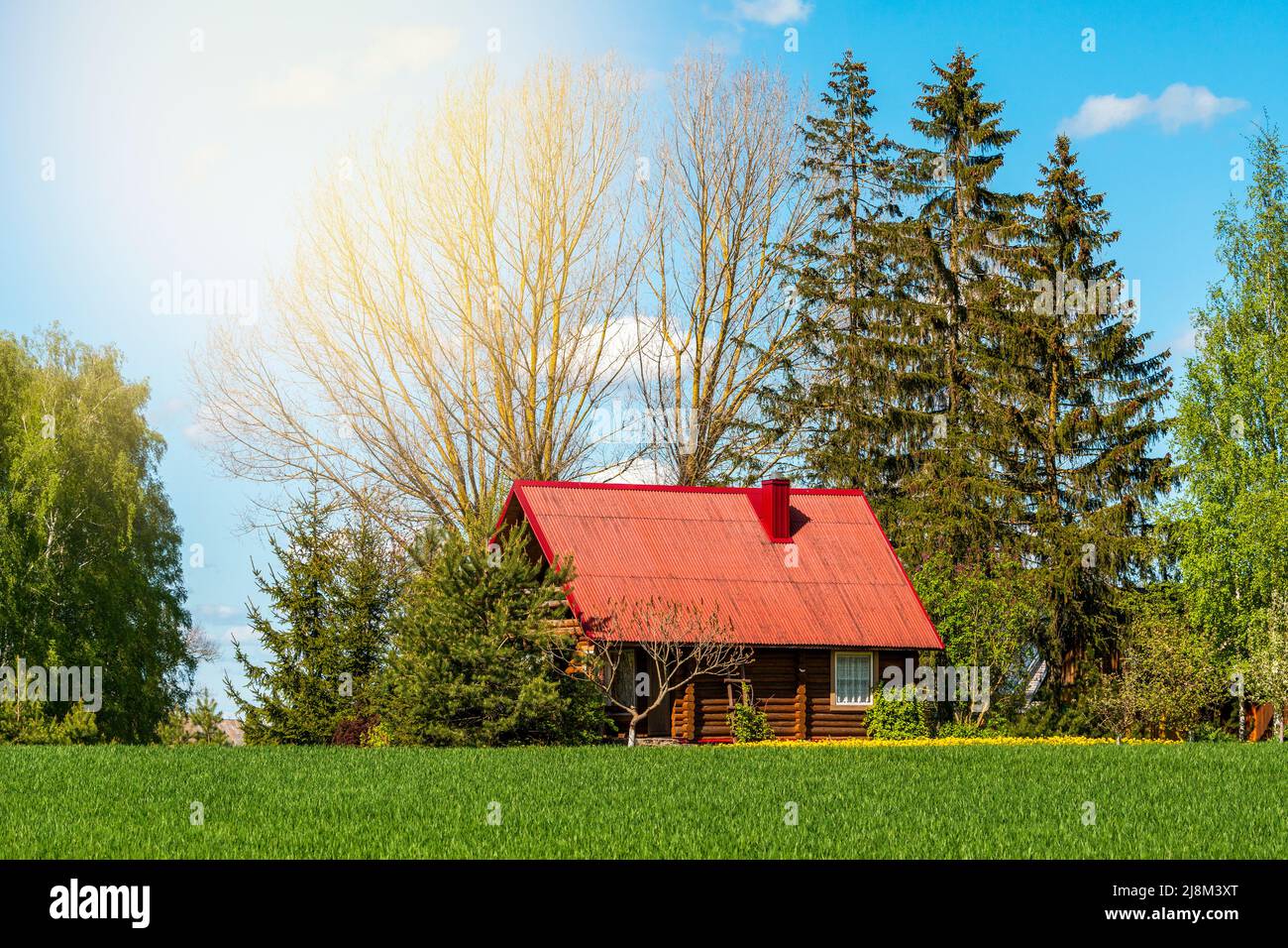 Small wooden house at the forest edge. Typical summer cottage ...