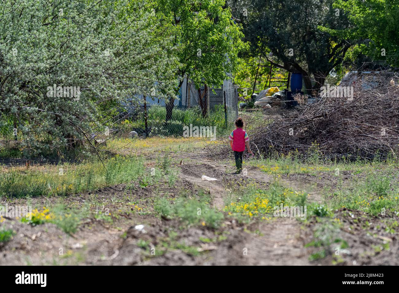 Back view of girl walking on field path through greenery, shot with ...