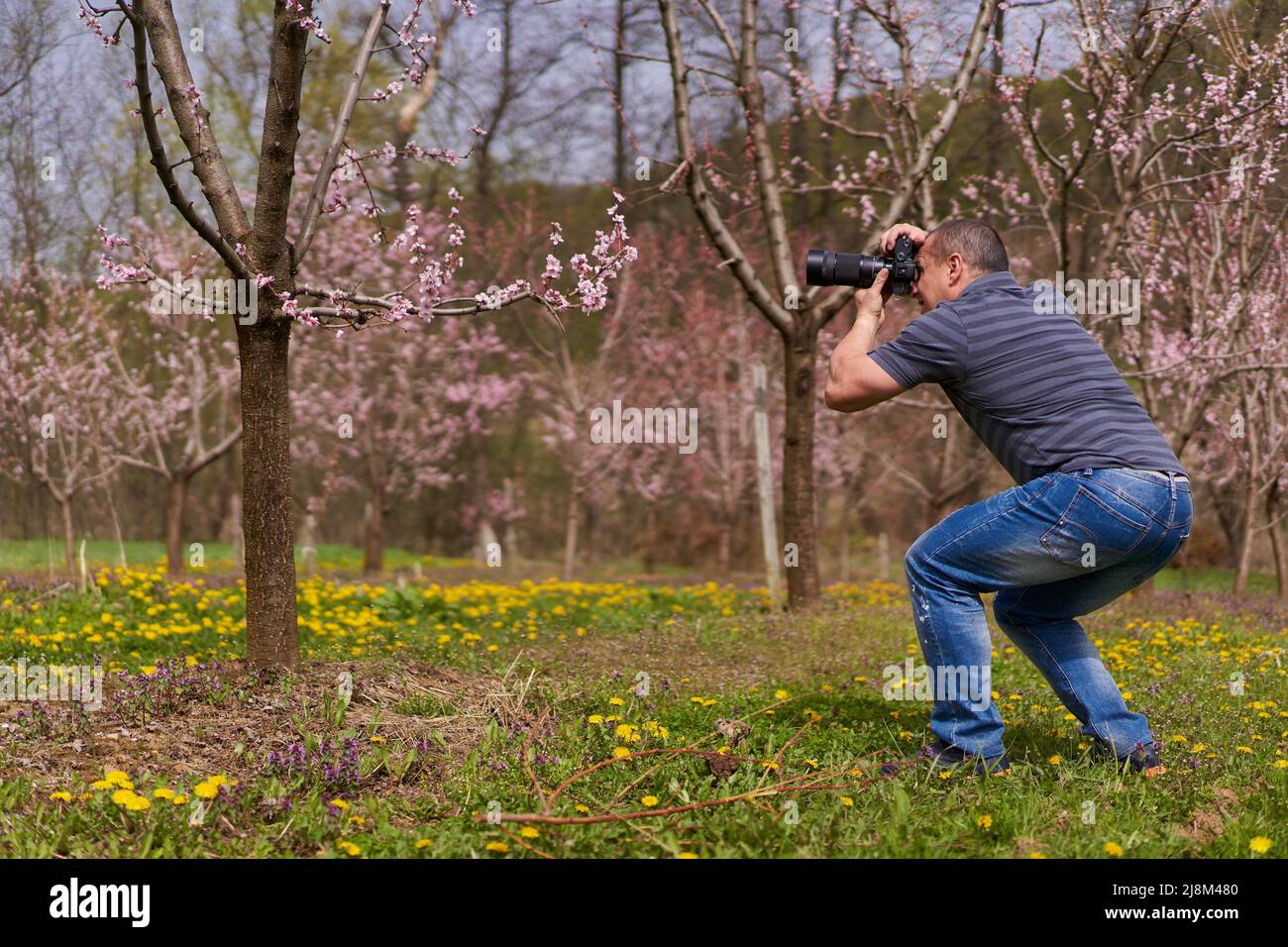 Nature photographer shooting landscapes and macro in a peach tree ...