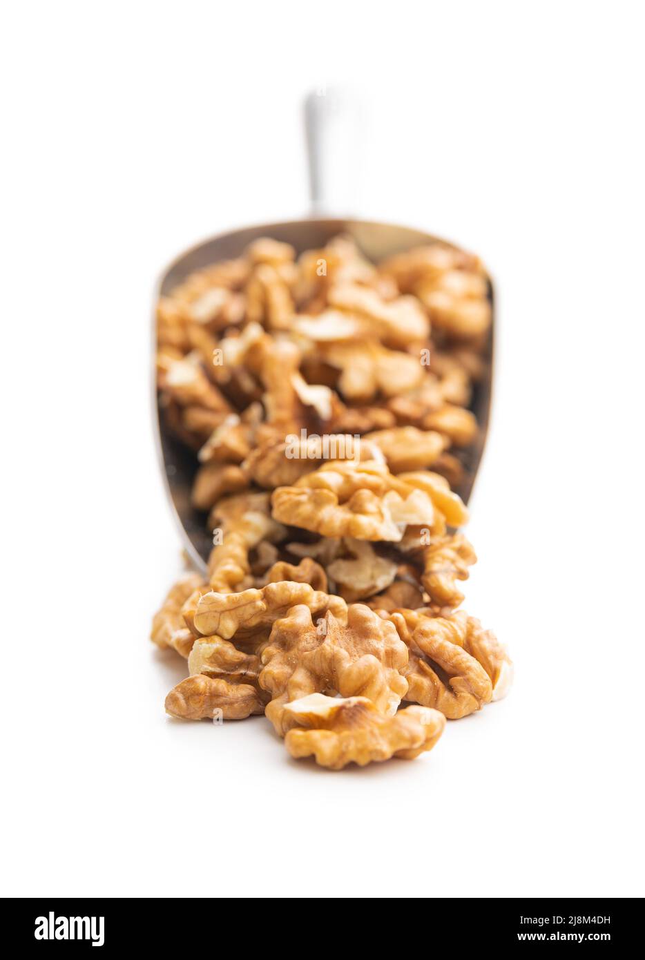 Peeled walnut kernels in scoop isolated on a white background Stock ...