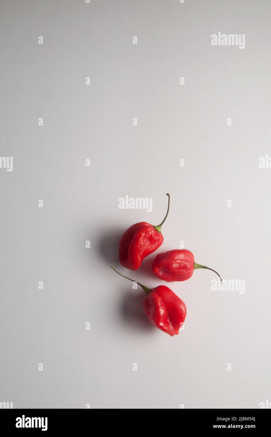 Komodo dragon chillies hi-res stock photography and images - Alamy