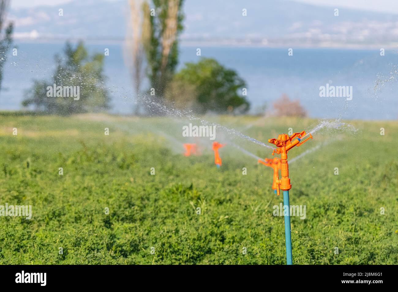 Image of orange sprinklers watering Stock Photo - Alamy