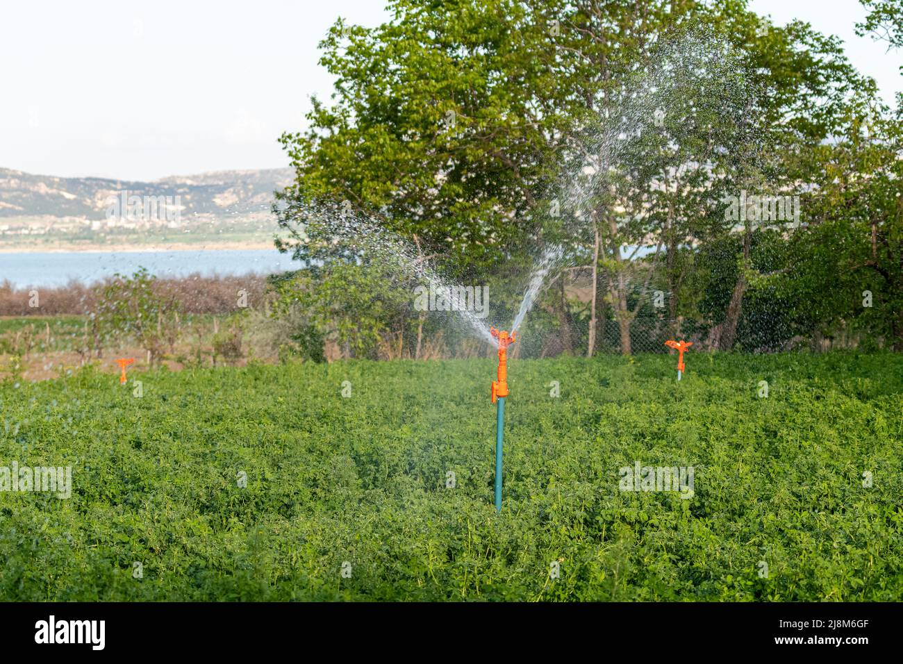 Irrigation machine hi-res stock photography and images - Alamy