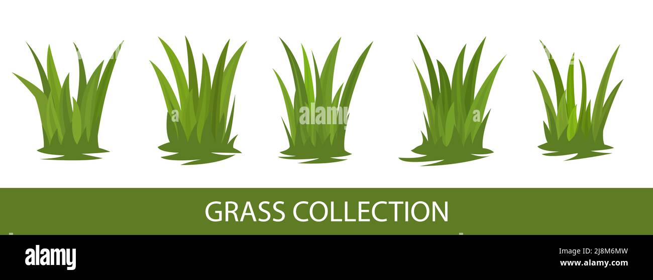 Green grass collection Stock Vector Image & Art - Alamy