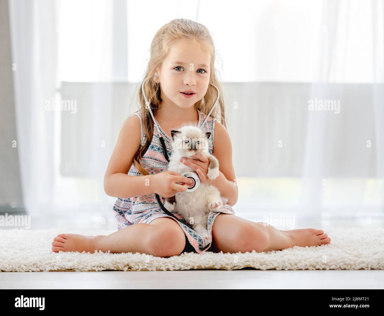 Girl with ragdoll kitten Stock Photo - Alamy