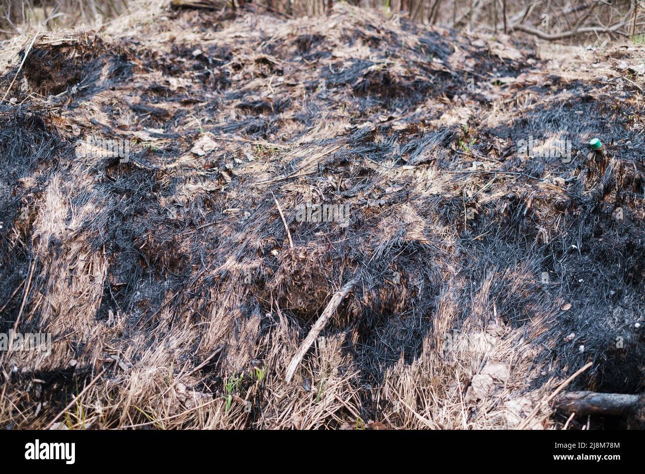 Burned grass hi-res stock photography and images - Alamy