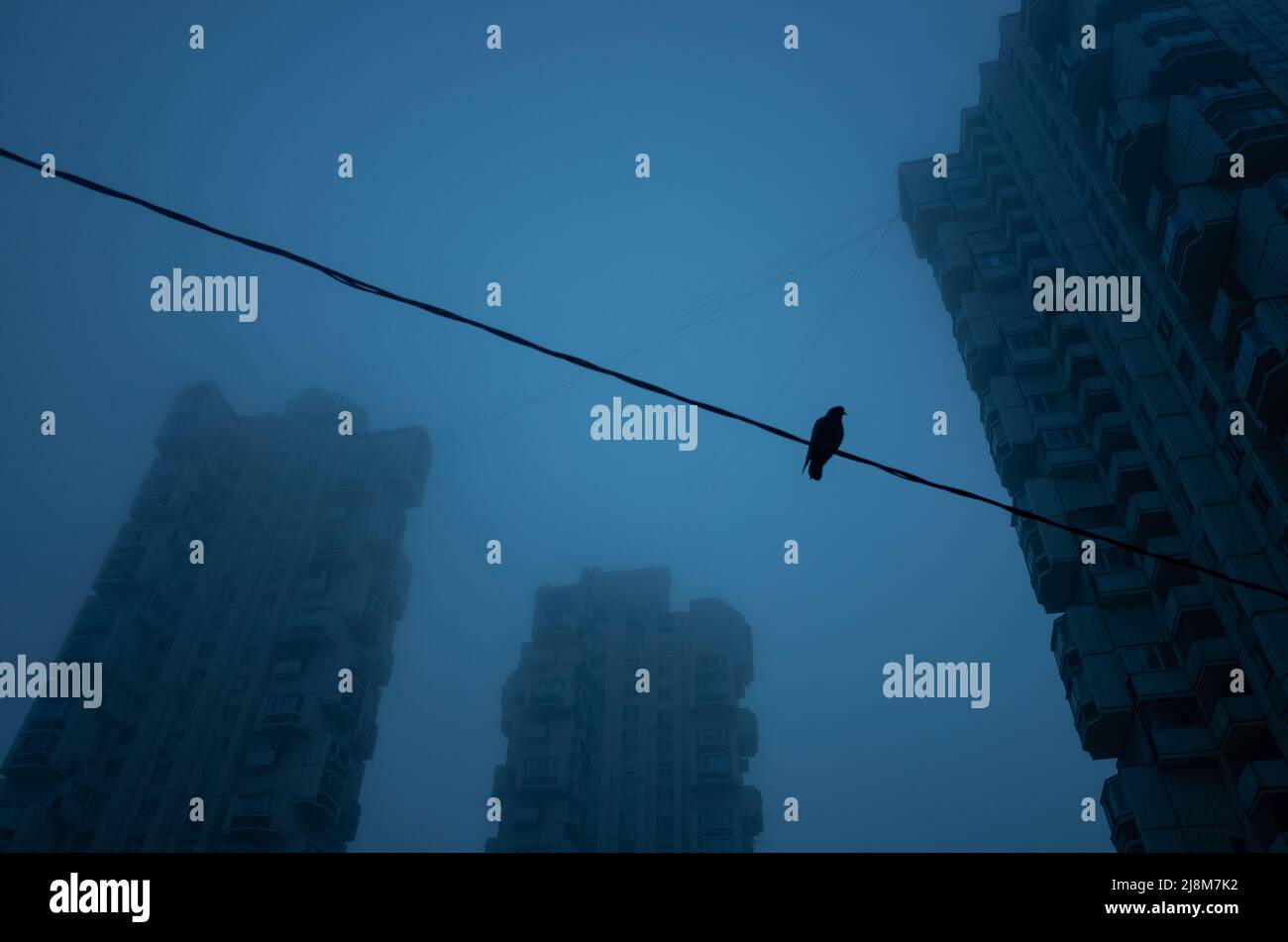 Two tall residential buildings in the form of a tower, immersed in a ...