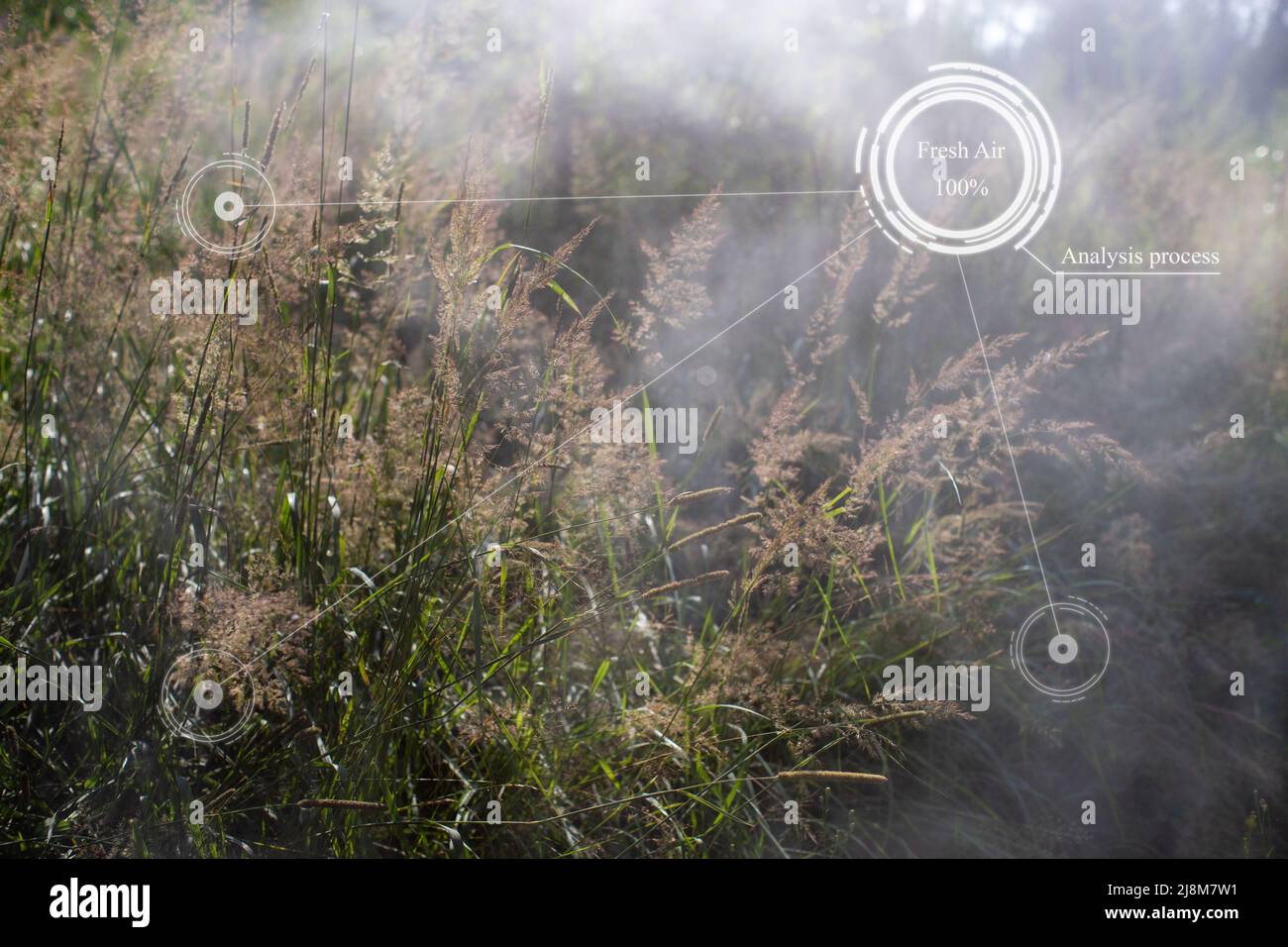 Future innovation for smart ecology system. Automatic measurement ...