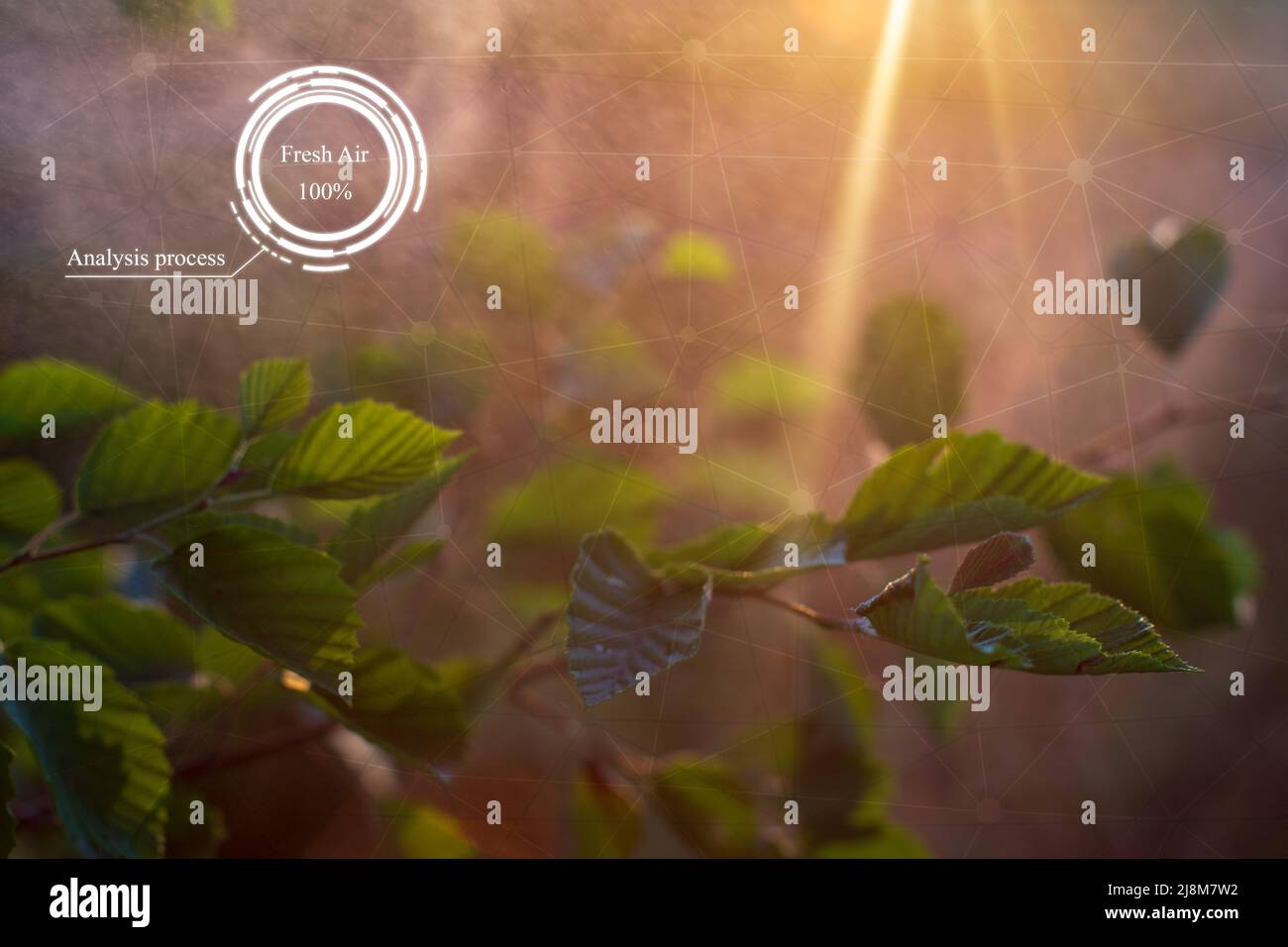 Future innovation for smart ecology system. Automatic measurement ...