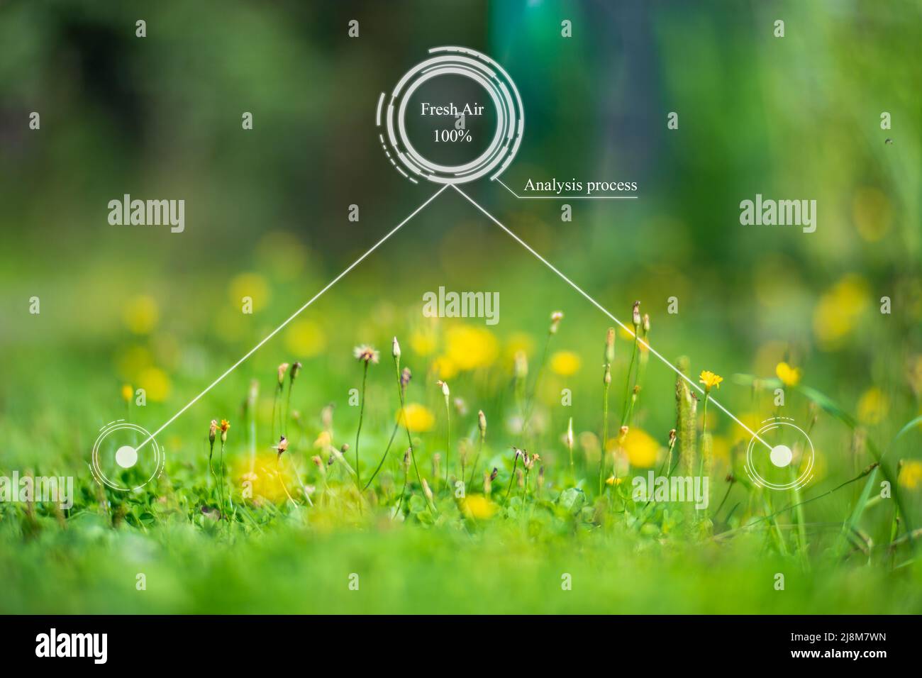 Future innovation for smart ecology system. Automatic measurement ...