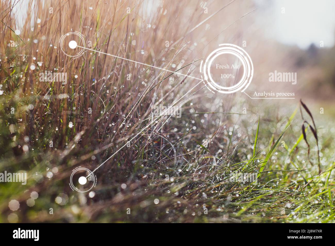 Future innovation for smart ecology system. Automatic measurement ...