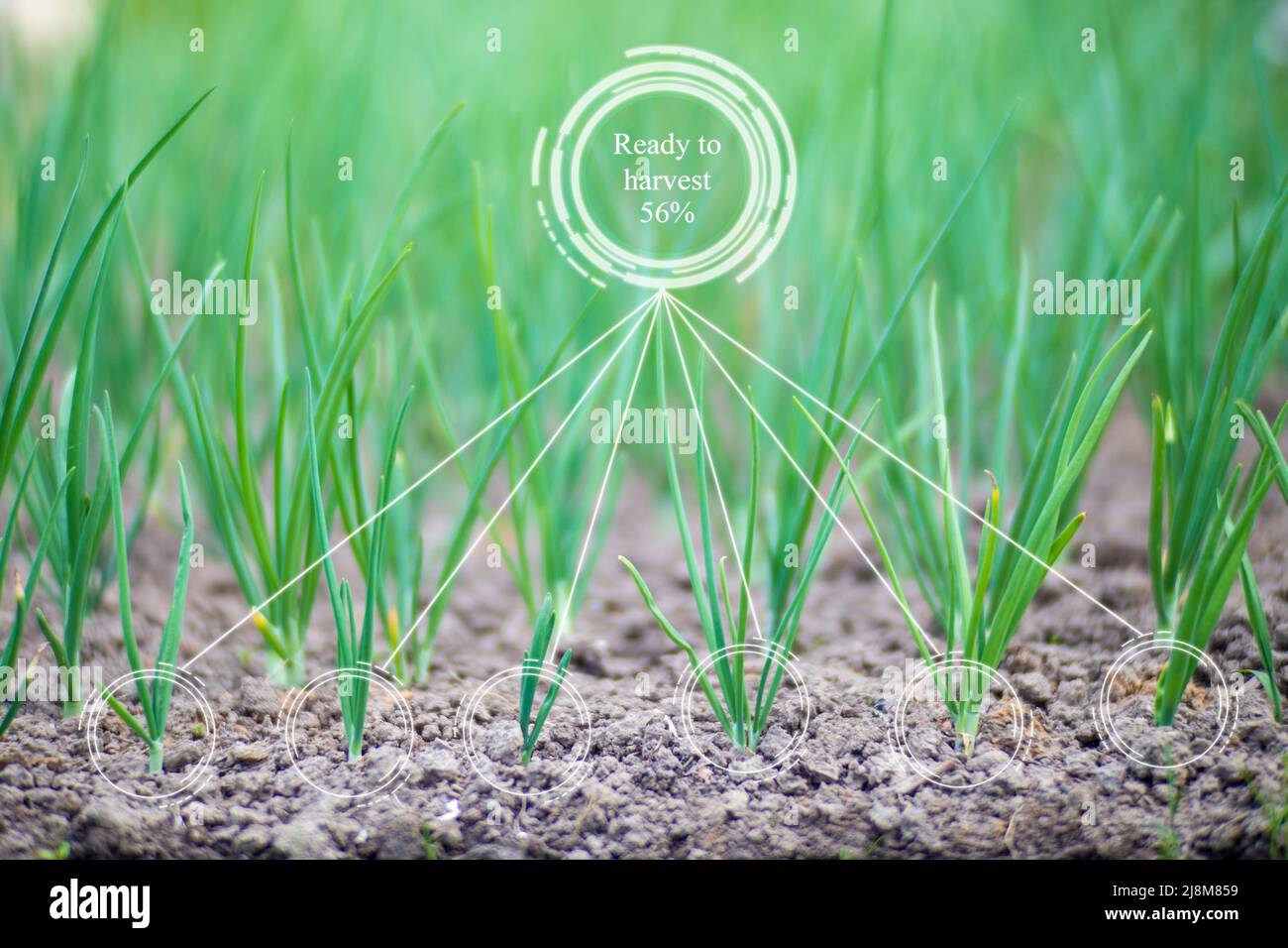 Innovation smart agriculture farm system. Use artificial intelligence ...