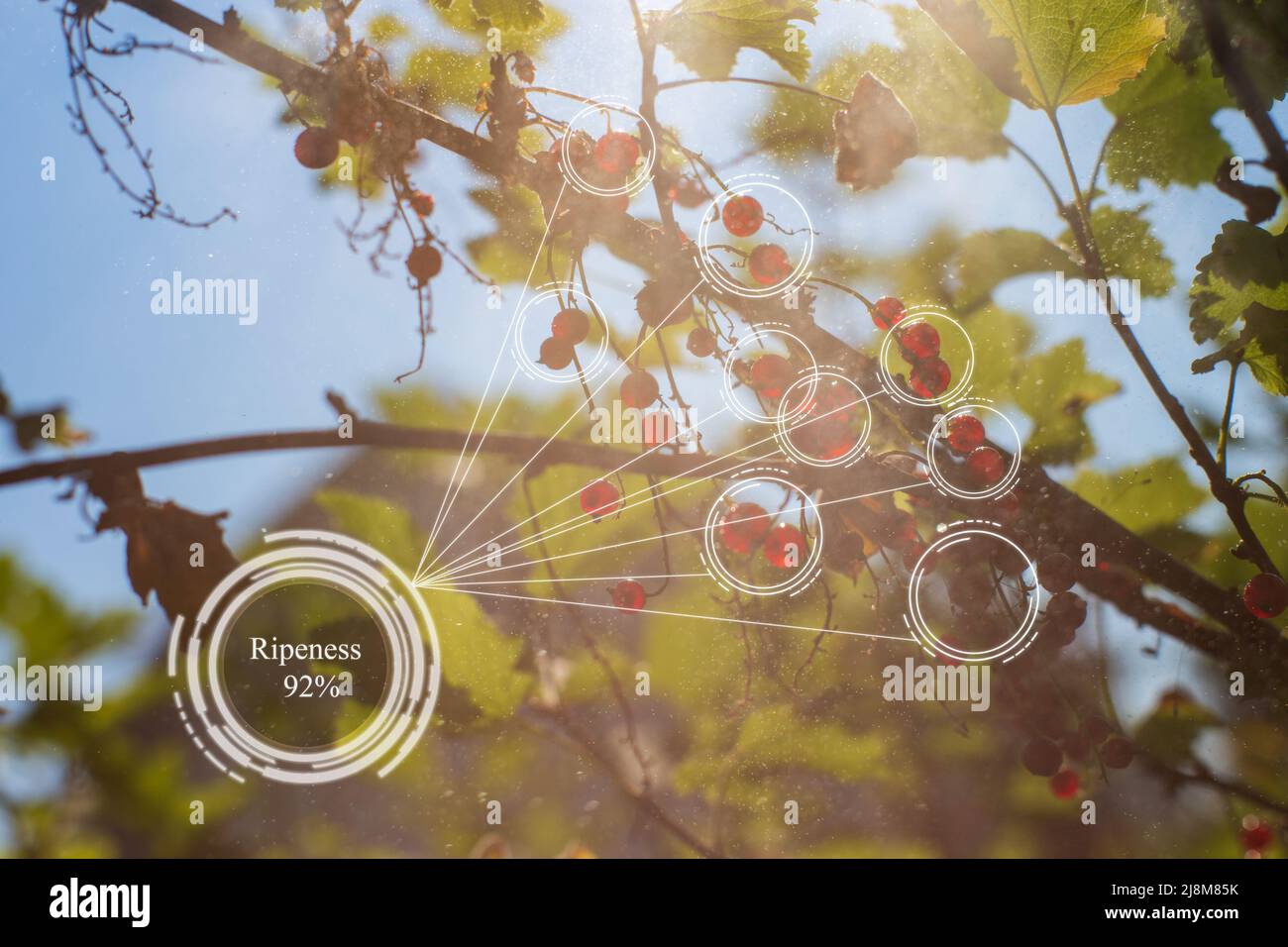 Innovation smart agriculture farm system. Use artificial intelligence ...