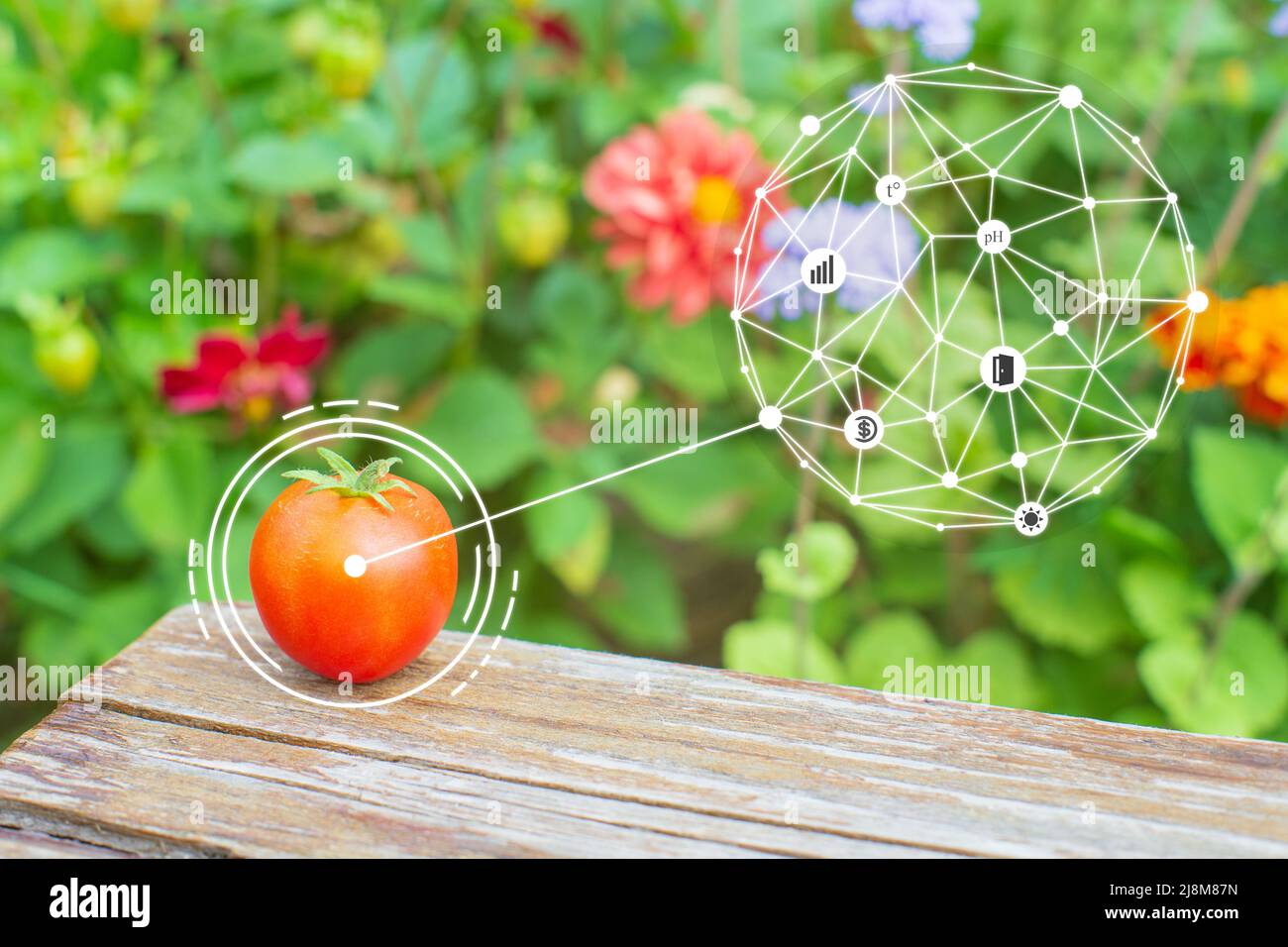 Innovation smart agriculture farm system. Use artificial intelligence ...