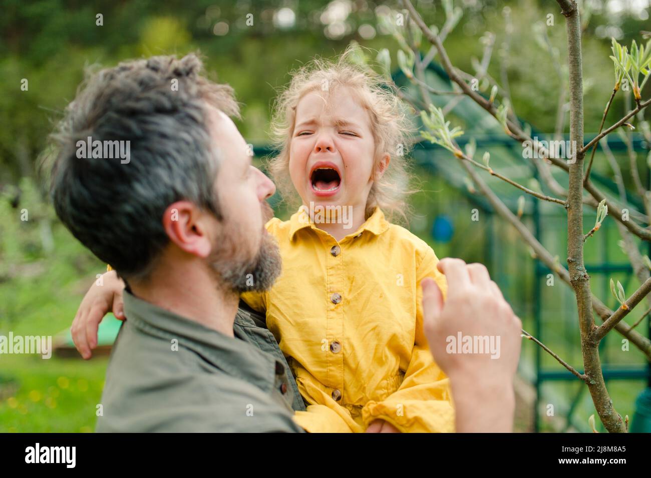 Father holding his crying little daughter and comforting her in garden ...