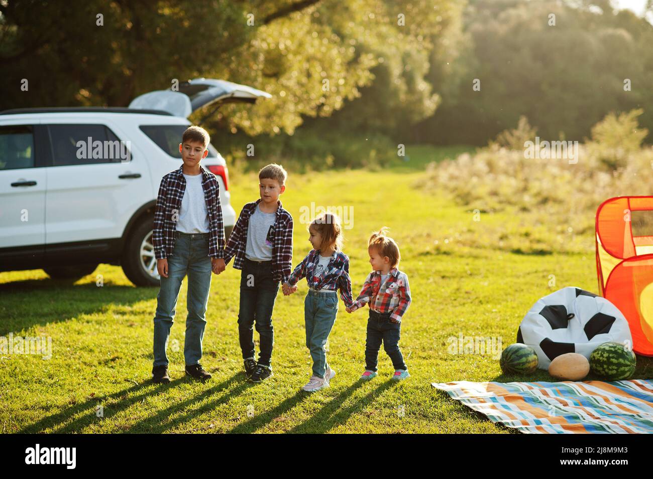 Four kids spending time together. Outdoor picnic blanket. Stand and ...