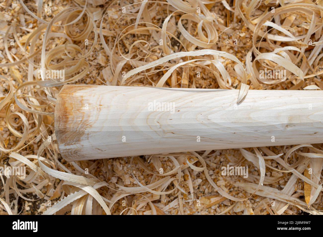 Woodworking, making a new didgeridoo from alder tree Stock Photo - Alamy