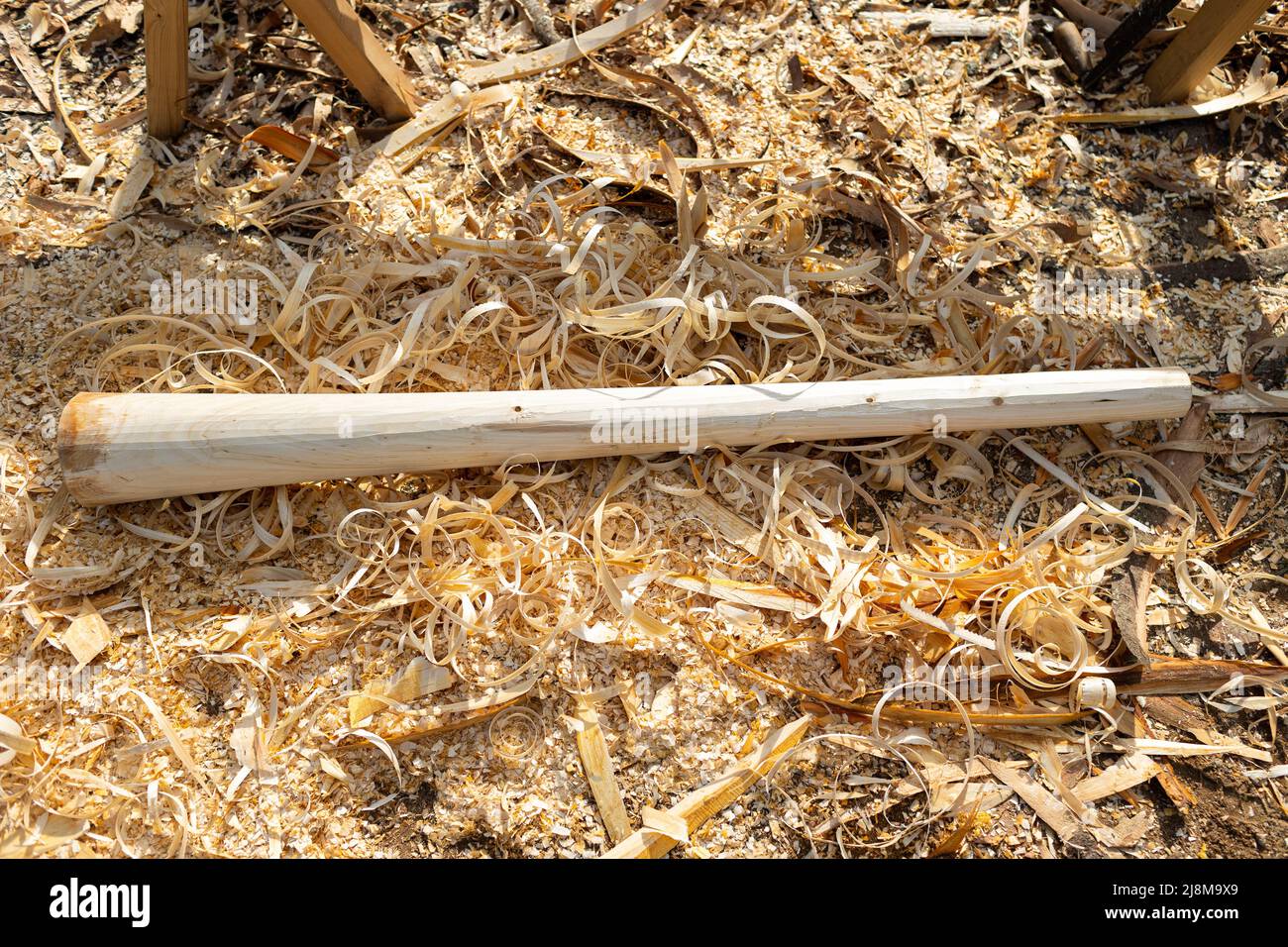 Woodworking, making a new didgeridoo from alder tree Stock Photo - Alamy