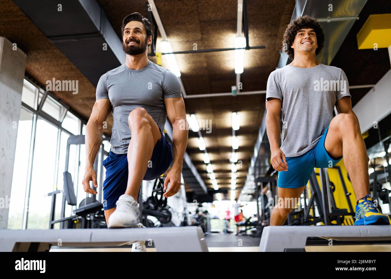 Portrait of happy fit people, friends exercising in gym together. Sport ...