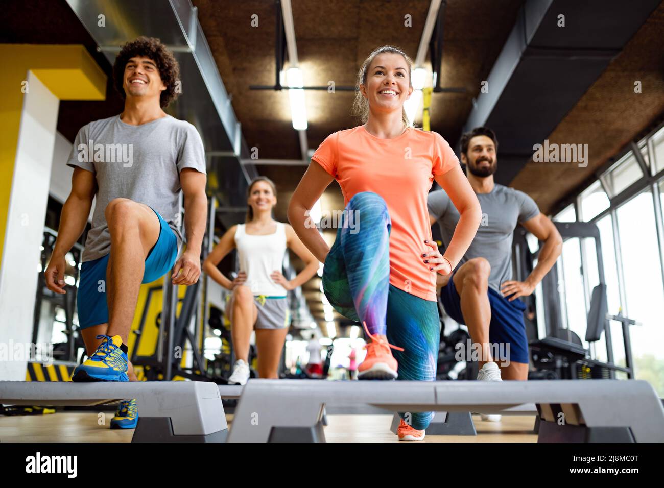Portrait of happy fit people, friends exercising in gym together. Sport ...