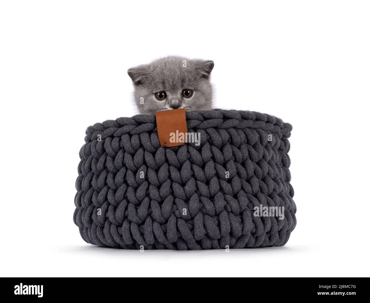 Solid floor Cut Out Stock Images & Pictures - Alamy