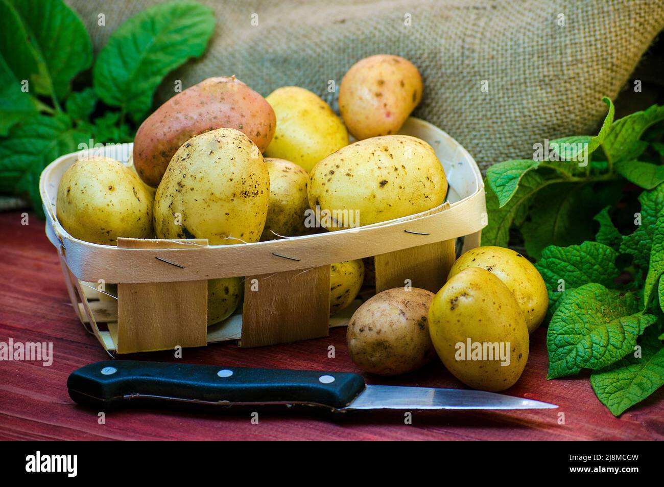 Food raw materials hi-res stock photography and images - Alamy
