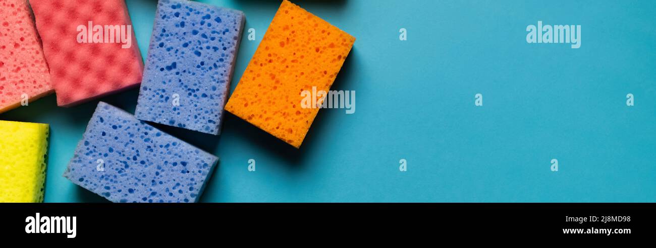 top view of colorful porous sponges on blue background, banner Stock ...