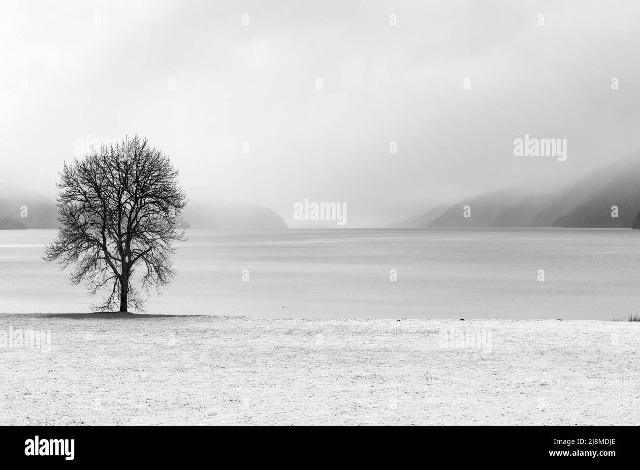 Lonely tree looking down Loch Ness in winter landscape - Monocrome ...