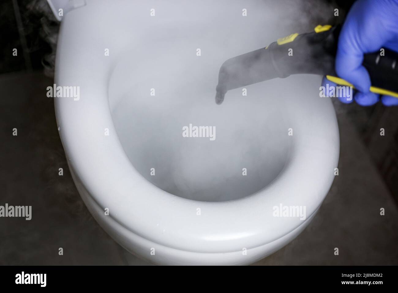 Cleaning and disinfection of the toilet with hot steam. Professional ...
