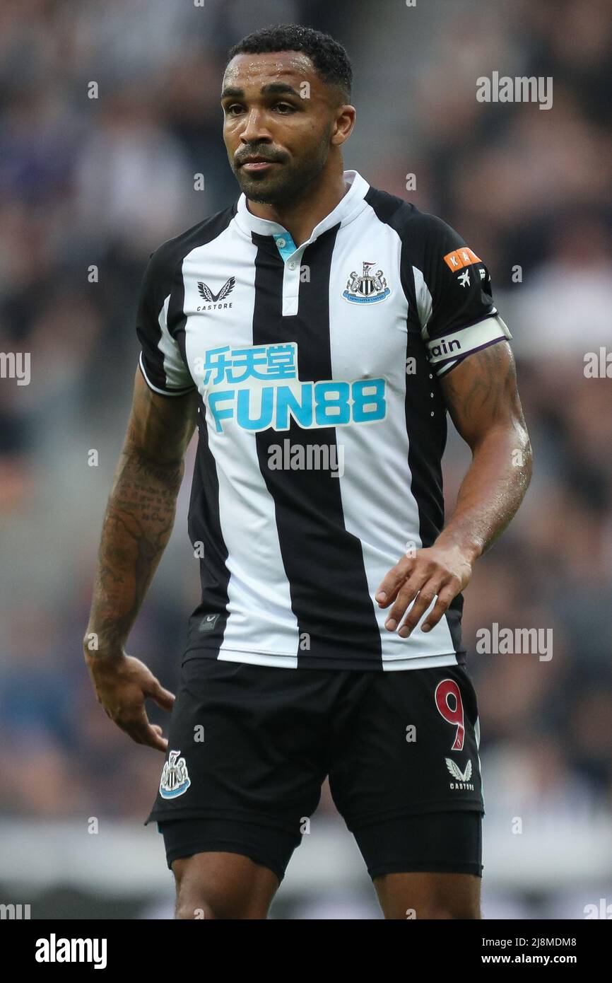 Callum wilson newcastle united 2022 hi-res stock photography and images ...
